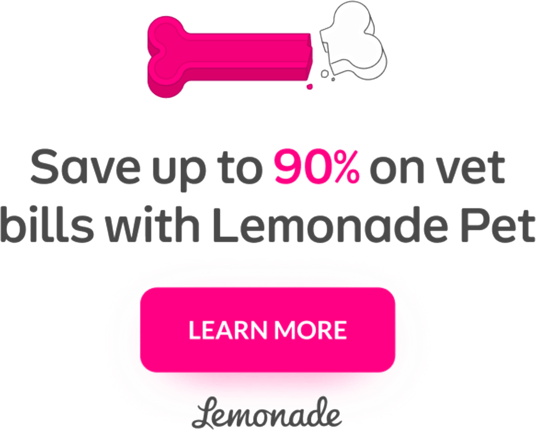 Dog Liability Insurance | insuremyk9.com